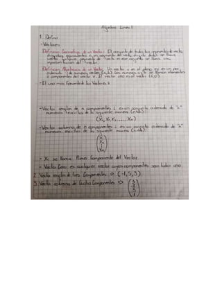 Algebra lineal vectores | DOCX