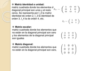 Algebra matricial determinantes | PPTX