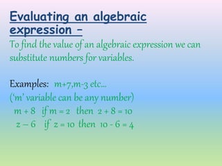 Algebra PPT | PPTX