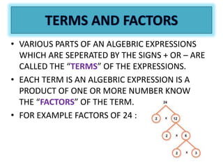 Algebric expressions and identity | PPTX