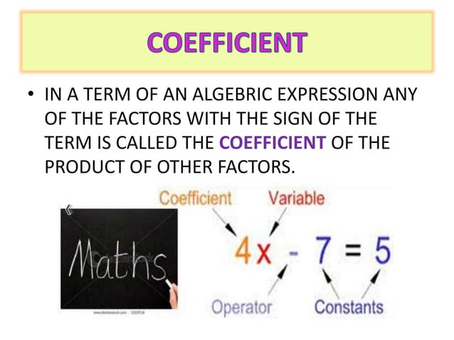 Algebric expressions and identity | PPTX