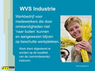Algemene Presentatie WVS-groep | PPT | Free Download
