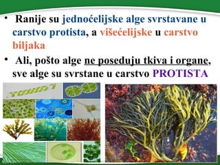 Alge opšte odlike | PPT