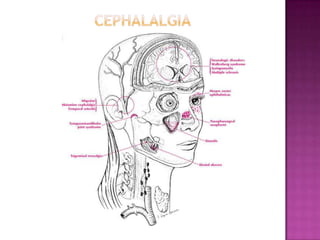 Algesia & plegia | PPTX