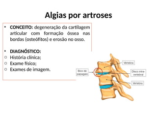 PATOLOGIAS E ALGIAS (DORES E DOENÇAS) DA COLUNA | PPTX