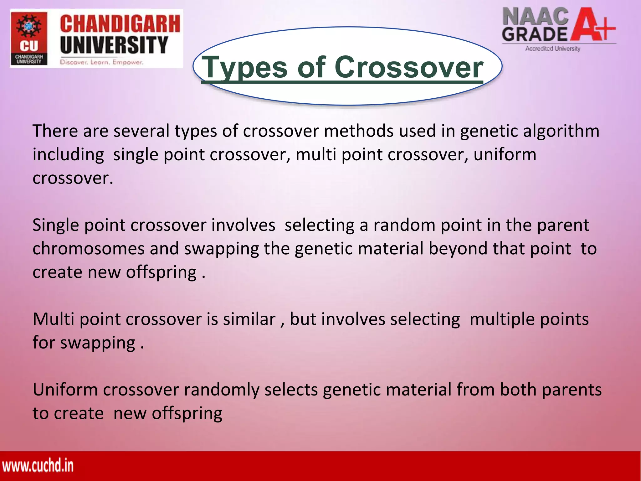 algo presentation.pptx