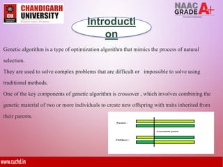 algo presentation.pptx