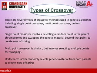 algo presentation.pptx