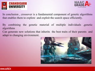 algo presentation.pptx