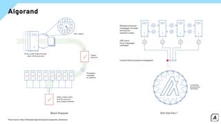 Algorand Consensus Algorithm | PPT