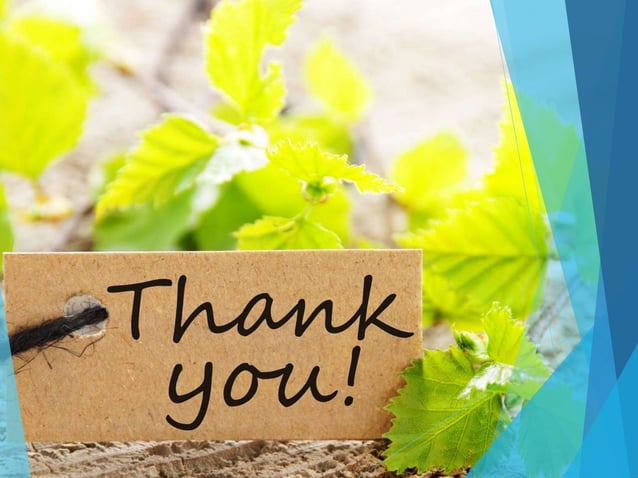 Algorithm and flowchart | PPSX