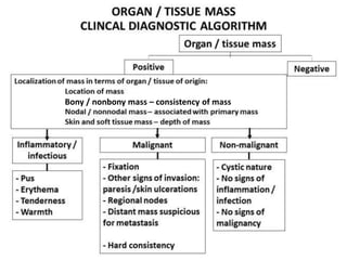 Algorithm in clinical diagnosis of surface lumps | PPTX