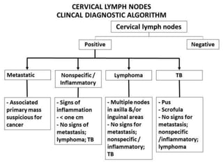 Algorithm in clinical diagnosis of surface lumps | PPTX