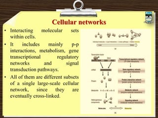 Algorithmic approach to computational biology using graphs | PPSX