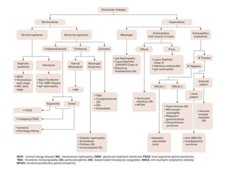 Algorithmic approach to the renal biopsy fellow | PPT