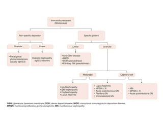 Algorithmic approach to the renal biopsy fellow | PPT