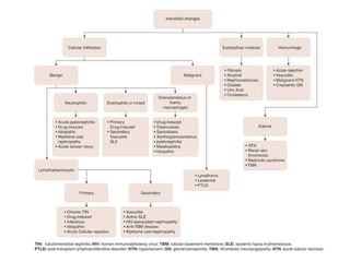 Algorithmic approach to the renal biopsy fellow | PPT