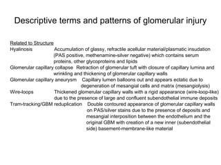 Algorithmic approach to the renal biopsy fellow | PPT