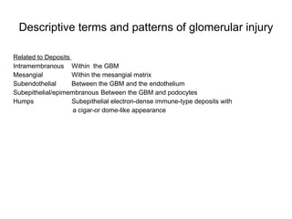 Algorithmic approach to the renal biopsy fellow | PPT
