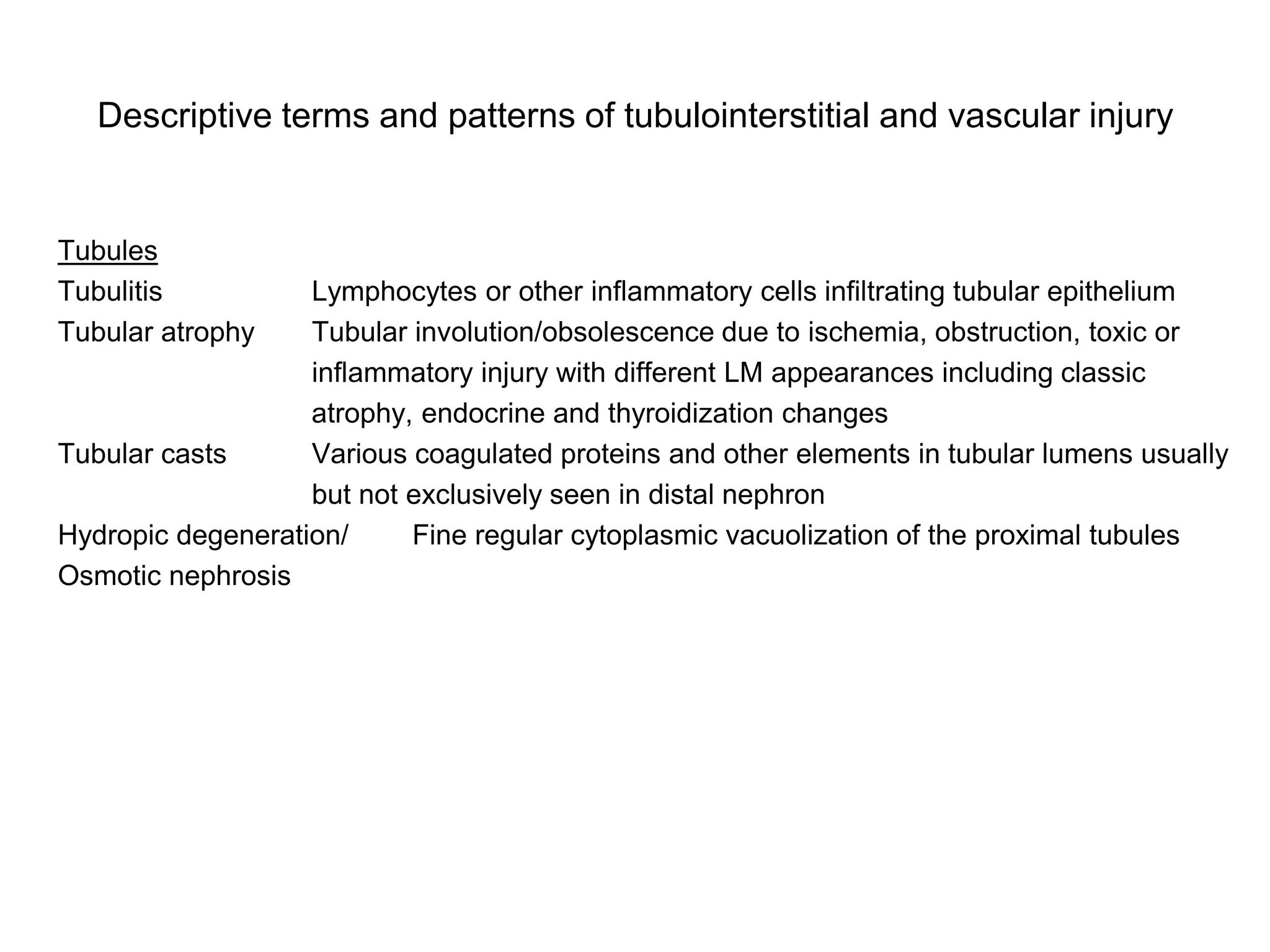 Algorithmic approach to the renal biopsy fellow | PDF