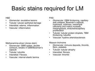 Algorithmic approach to the renal biopsy fellow | PDF