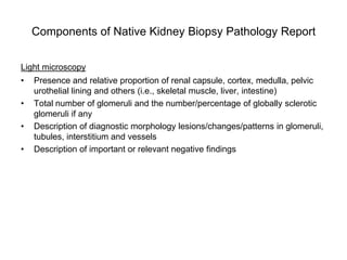 Algorithmic approach to the renal biopsy fellow | PDF