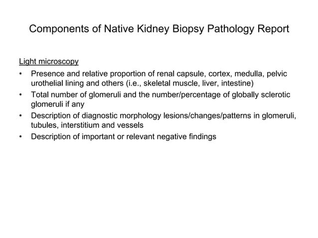 Algorithmic approach to the renal biopsy fellow | PDF