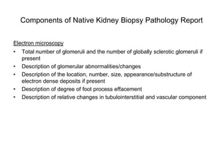Algorithmic approach to the renal biopsy fellow | PDF