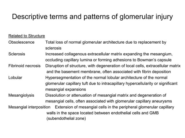 Algorithmic approach to the renal biopsy fellow | PDF