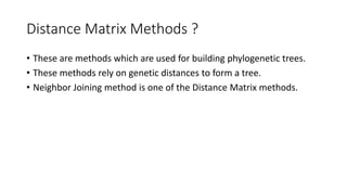 Algorithm research project neighbor joining | PPTX