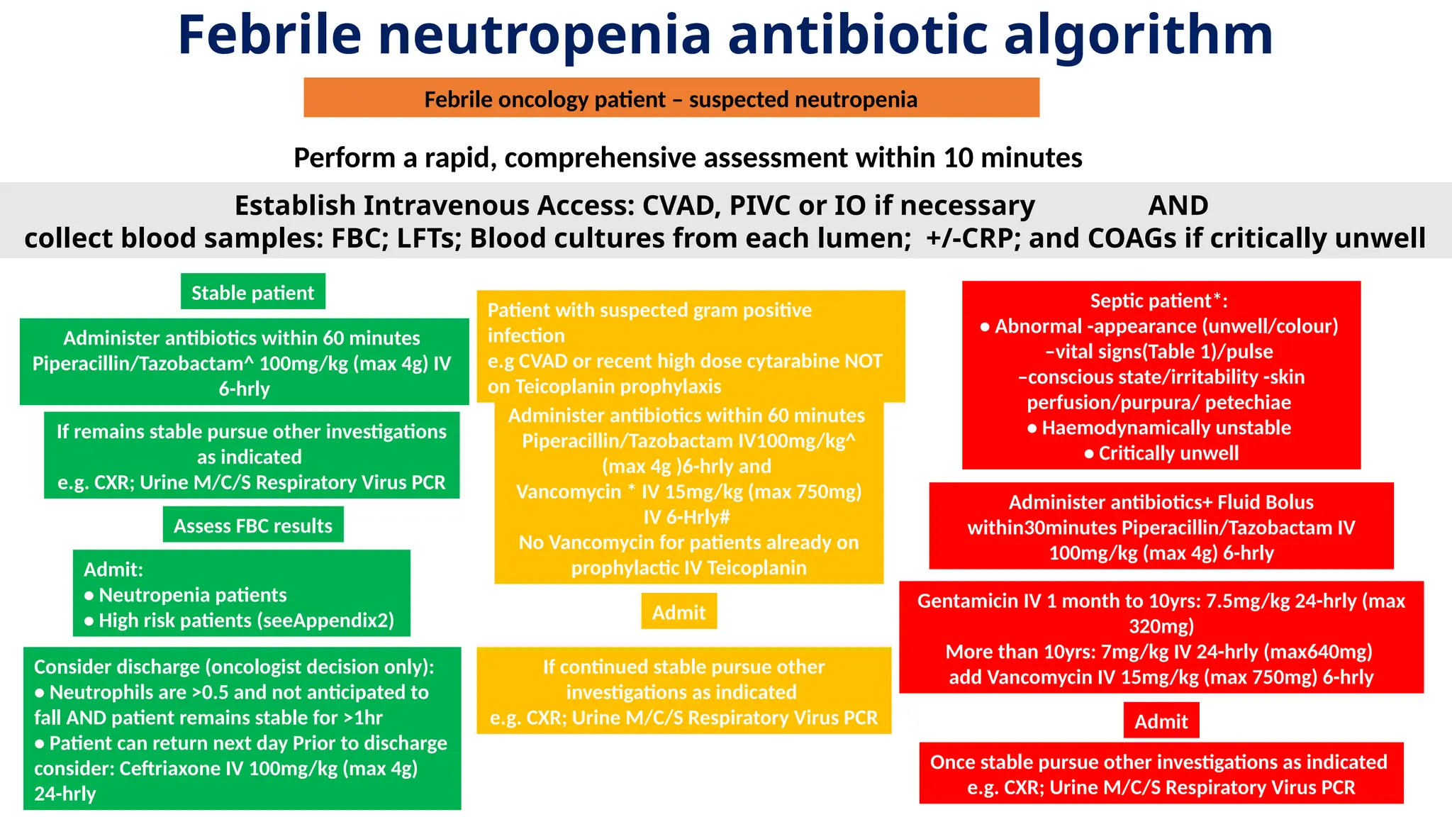 Algorithm FEBRILE Neutropenia in patients with Cancer .pptx
