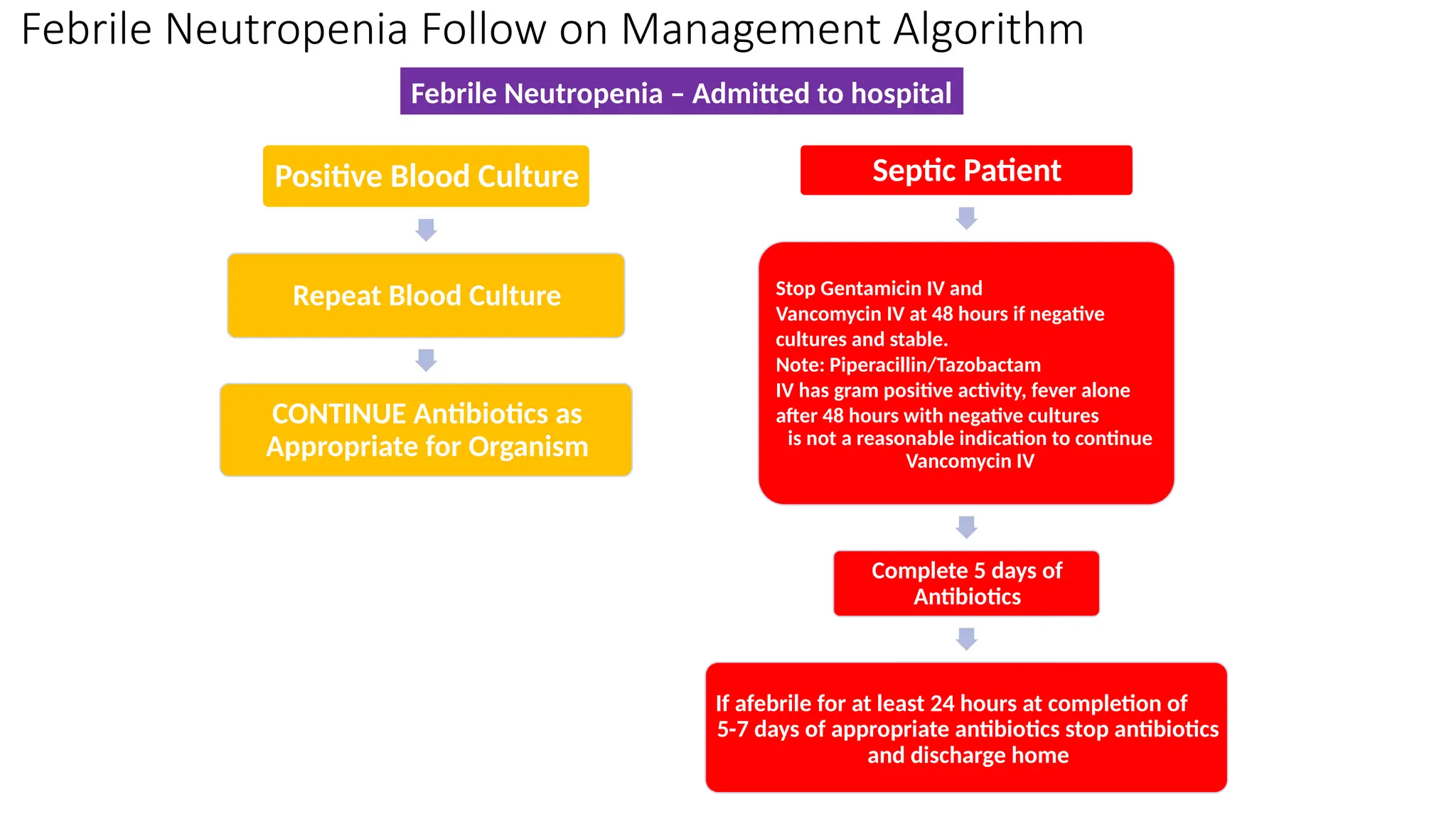 Algorithm FEBRILE Neutropenia in patients with Cancer .pptx