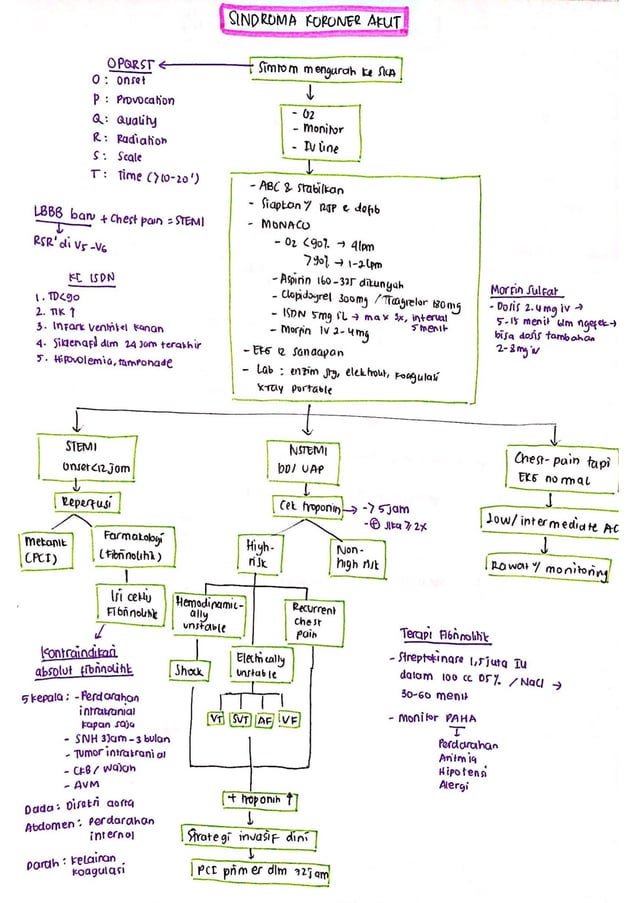 Algoritma Advanced Cardiology Life Support | PDF