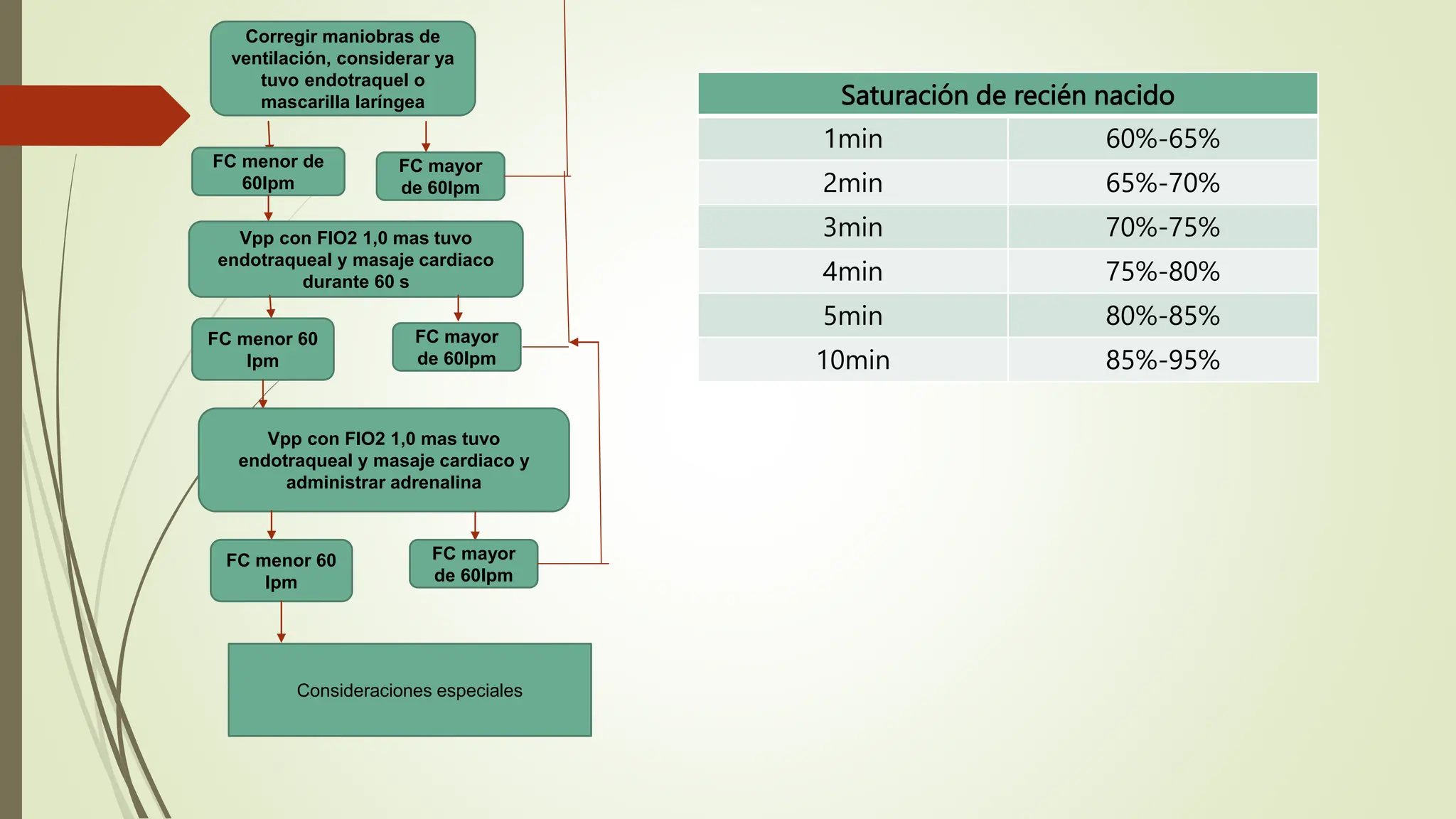 Algoritmo de reanimación neonatal.pptx