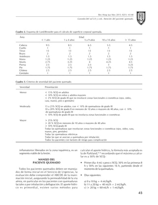 Algoritmo de paciente quemado mex 2015 | PDF