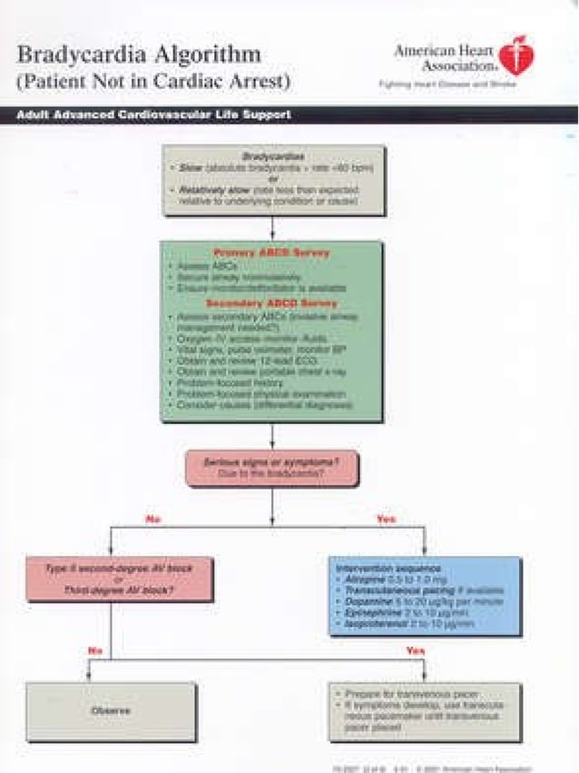 Algoritmos Acls | PPT