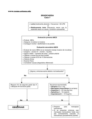 Algoritmos acls 2000 | PDF