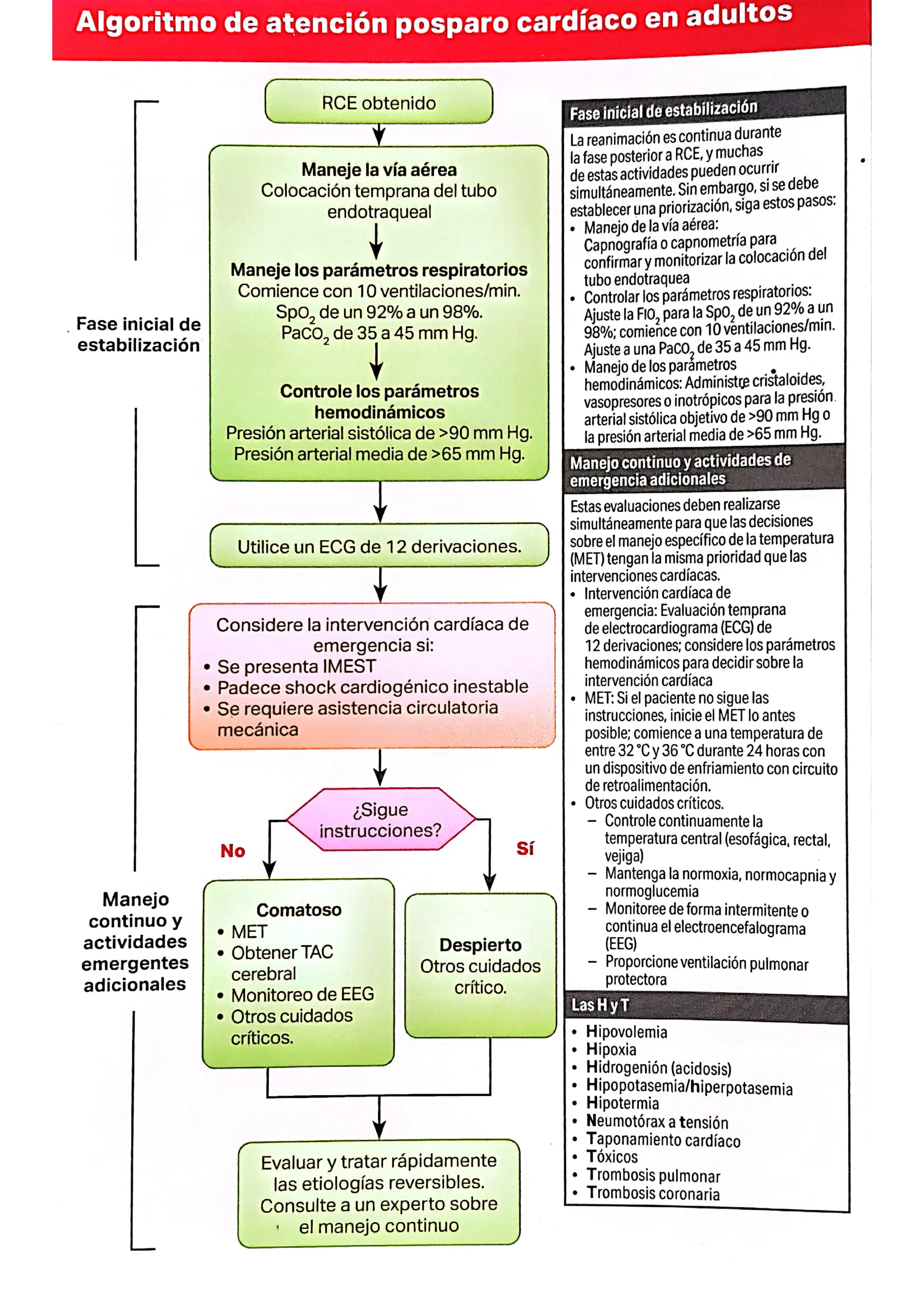 Algoritmos AHA procedimiento en el área cardiovascular | PDF
