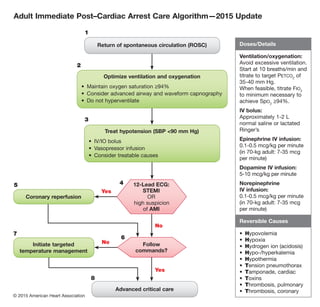 Algoritmos AHA 2015 | PDF