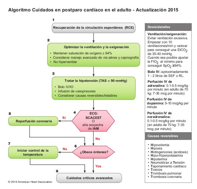 Algoritmos AHA 2015 ESPAÑOL