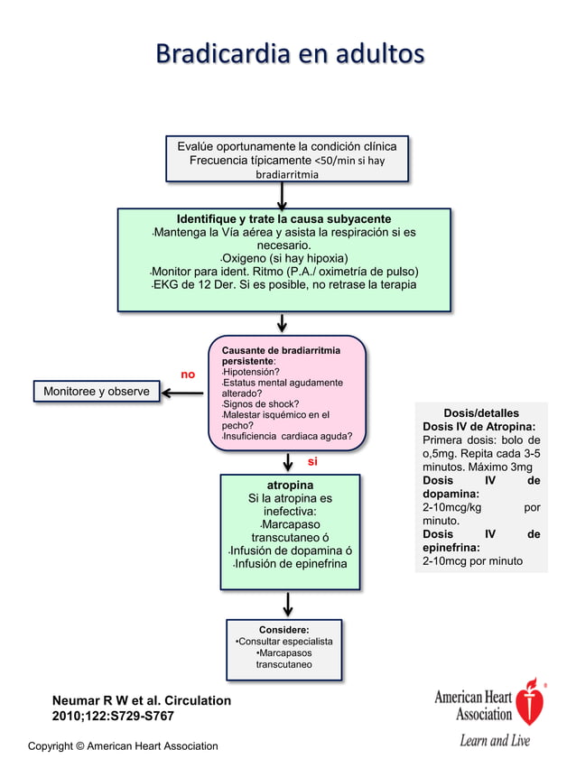 Algoritmos de reanimacion cardiopulmonar basica y avanzada. | PDF