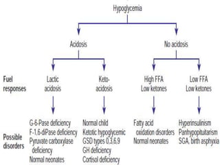 Algortihm hypoglycemia | PPTX