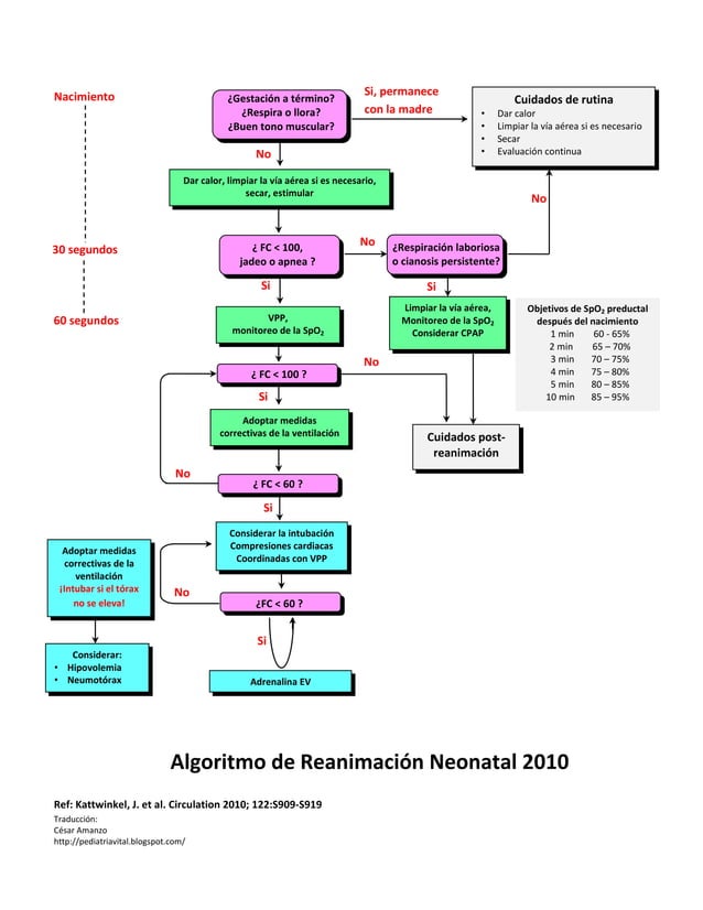 Protocolo actualizado paso a paso de reanimación neonatal (NRP)