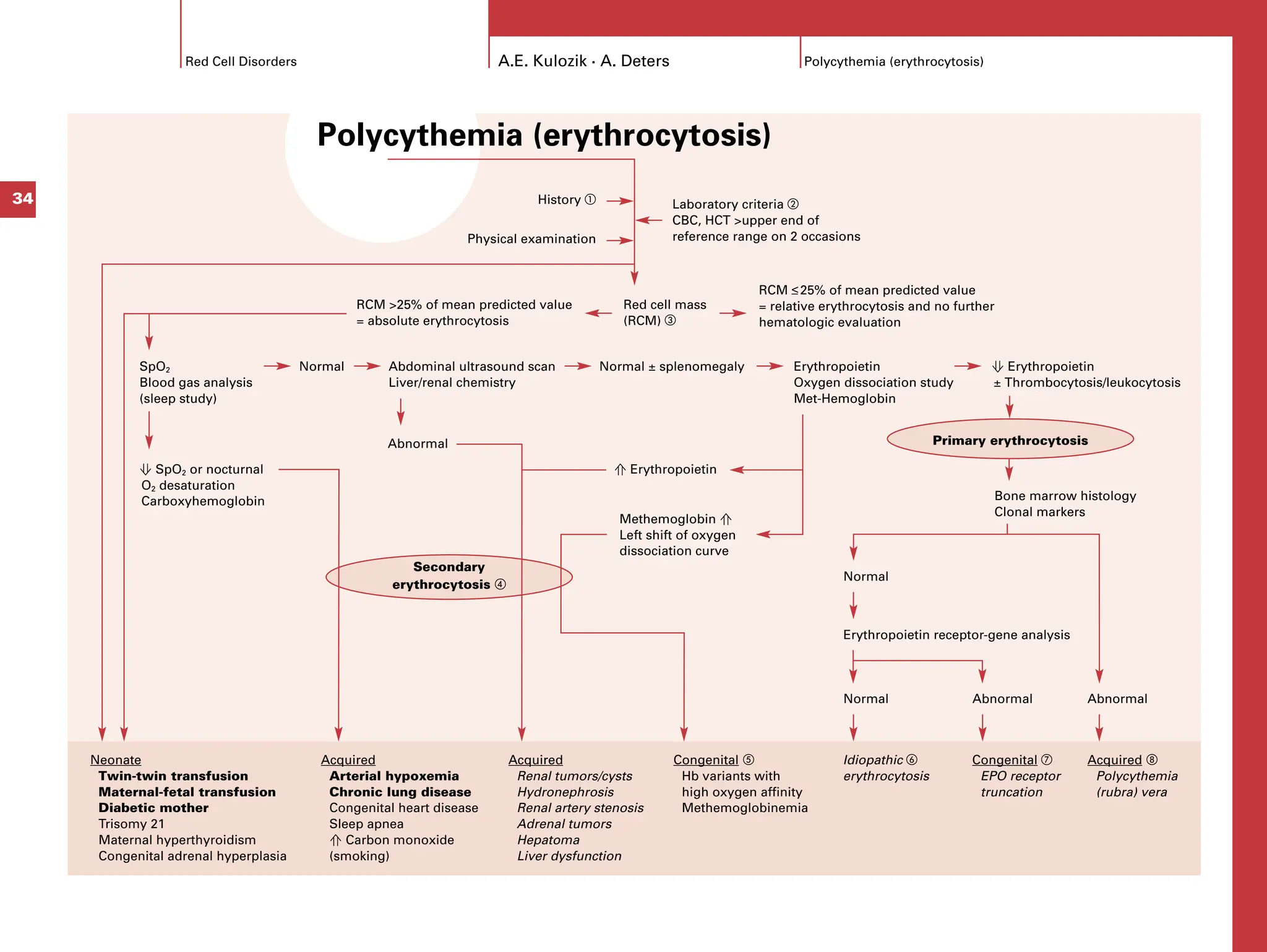 ALGORITMOS HEMATOLOGÍA Y ONCOLOGÍA PEDIATRICA | PDF