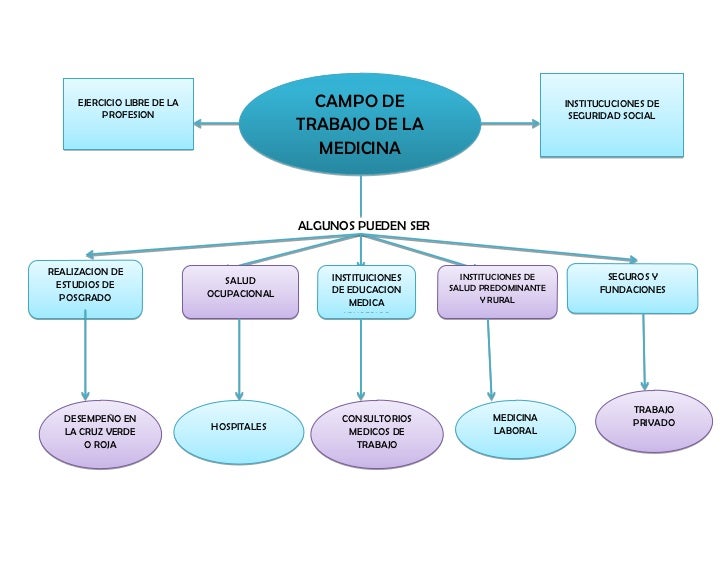 mapa conseptual de los campos de trabajo de la medicina