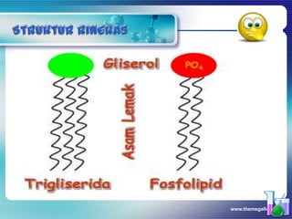 Gliserida-Lipid | PPTX