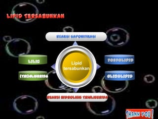 Gliserida-Lipid | PPTX