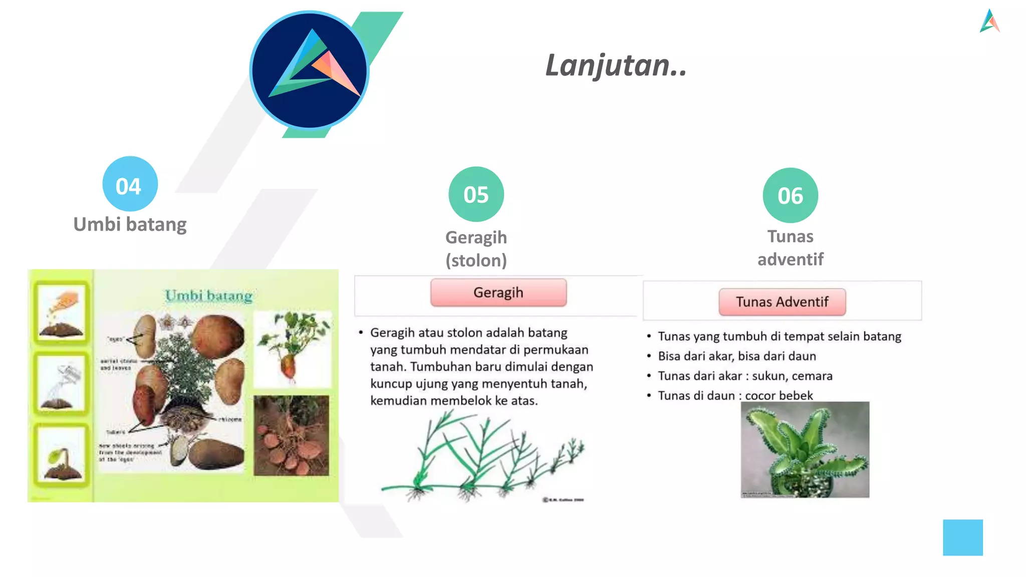 PERBANYAKAN TANAMAN SECARA VEGETATIF | PPTX