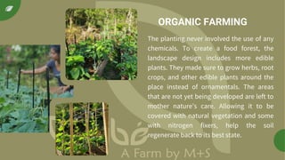ALHIBE FARM.pdf