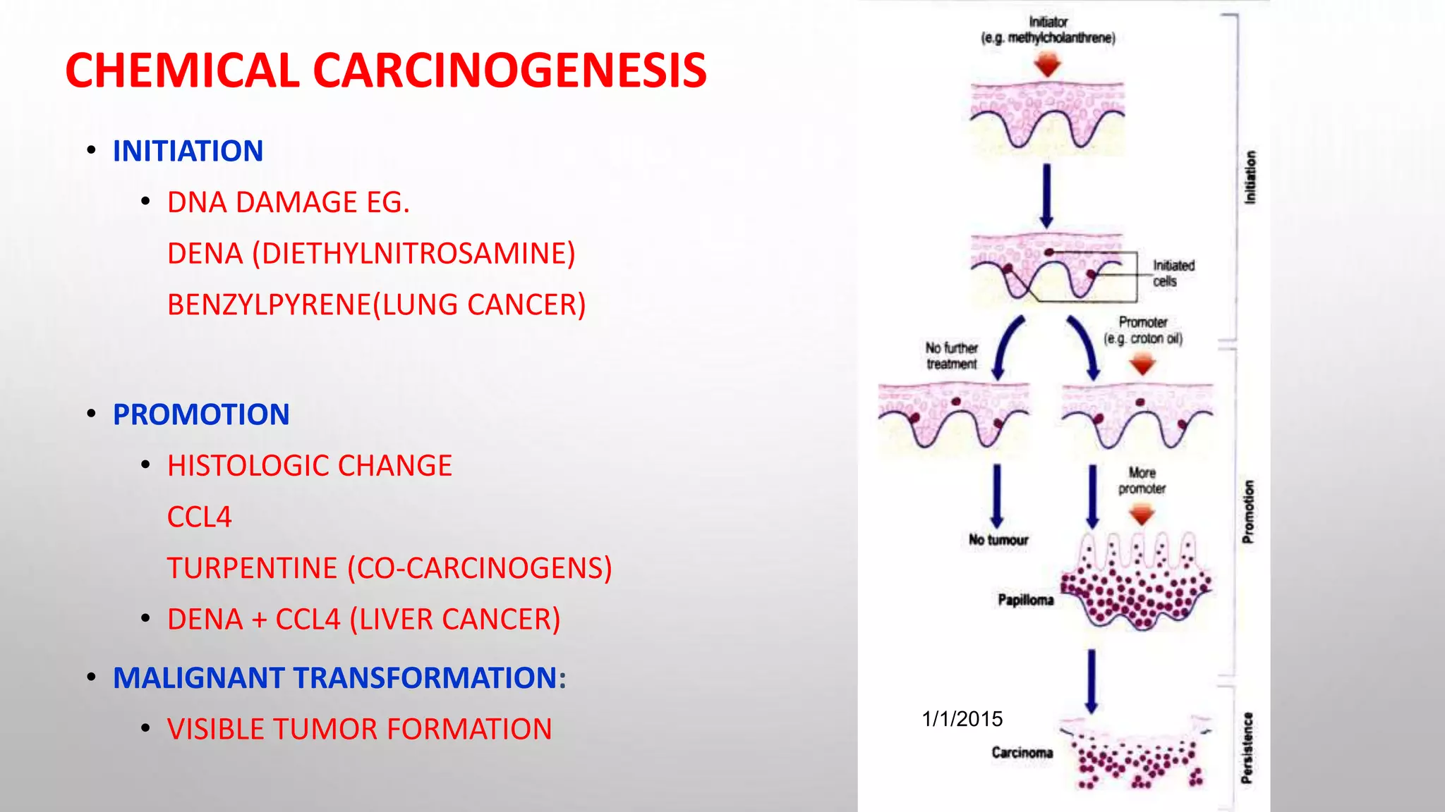 Cancer,oncogenes and Tumor suppressor genes | PPTX
